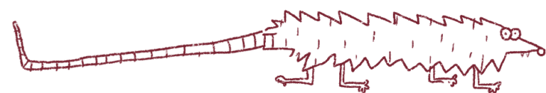 Steel String Announces Pluck Farm | Steel String Brewery