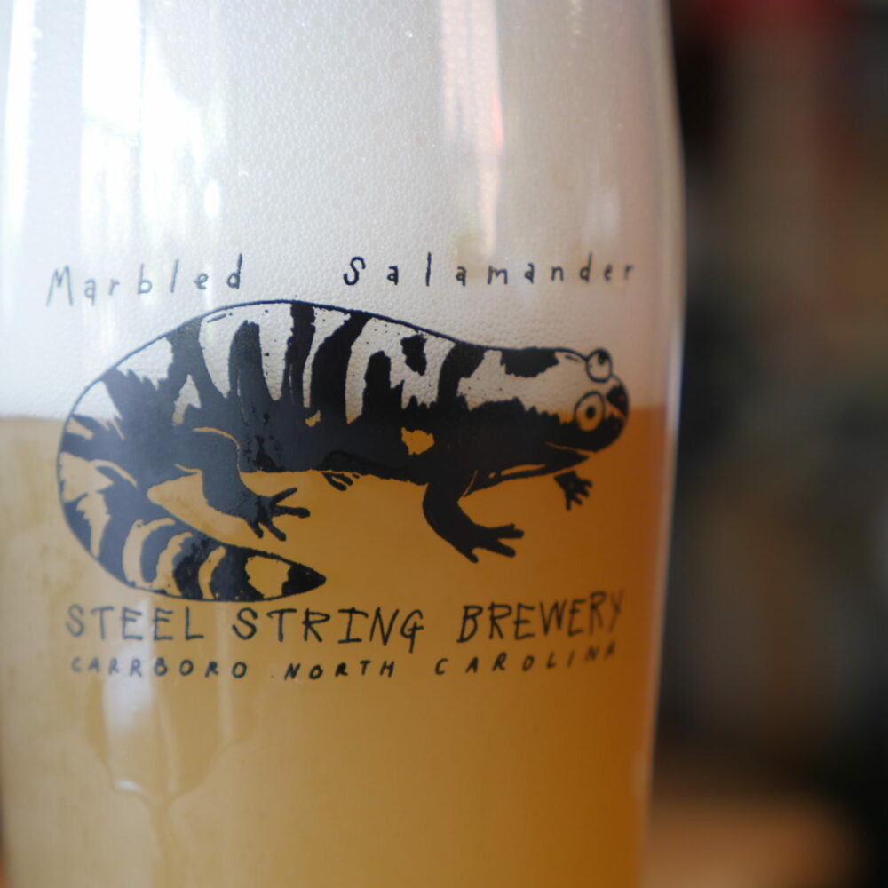 Taproom | Steel String Brewery