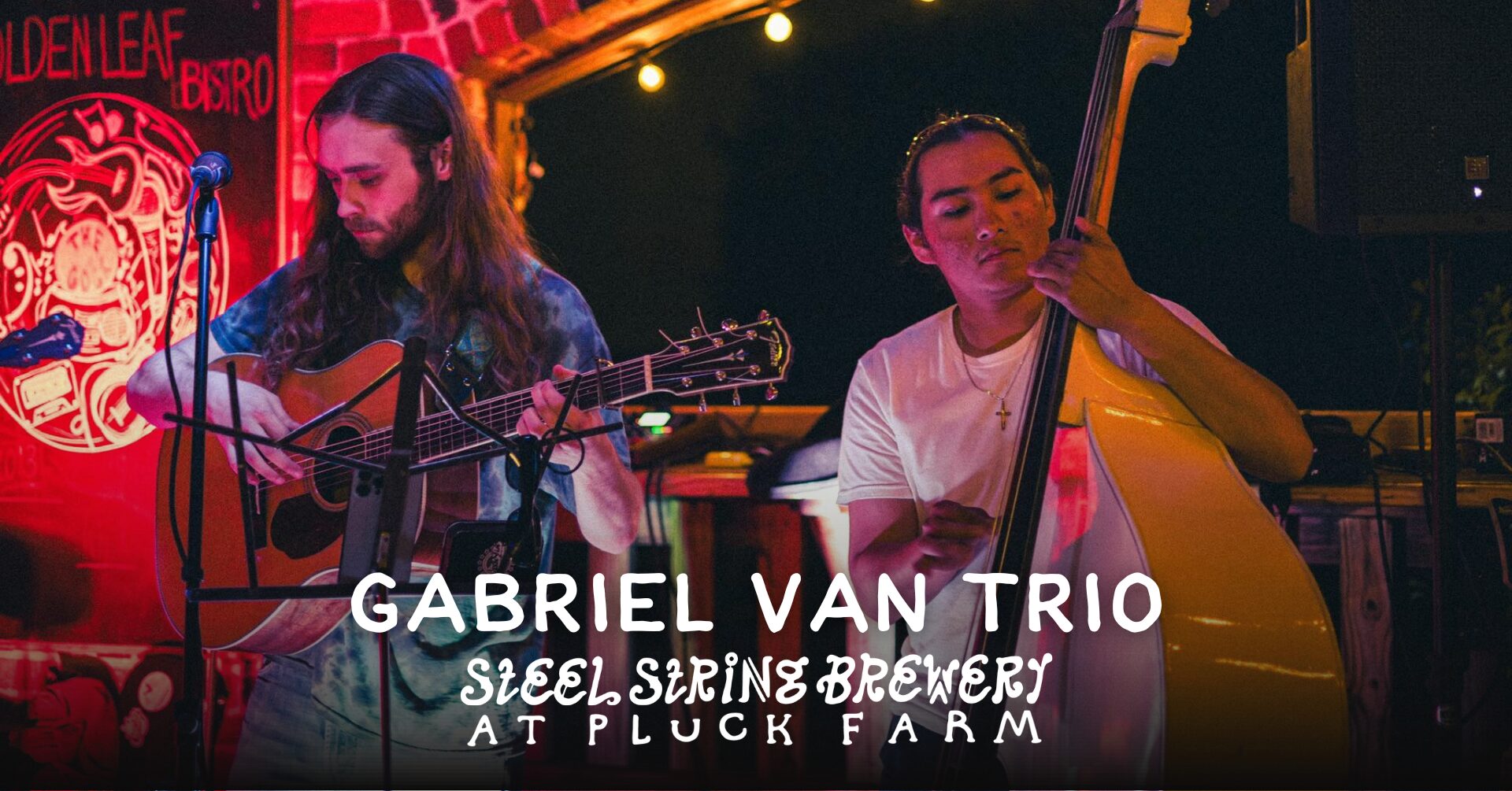 Gabriel Van Live at Pluck Farm | Steel String Brewery